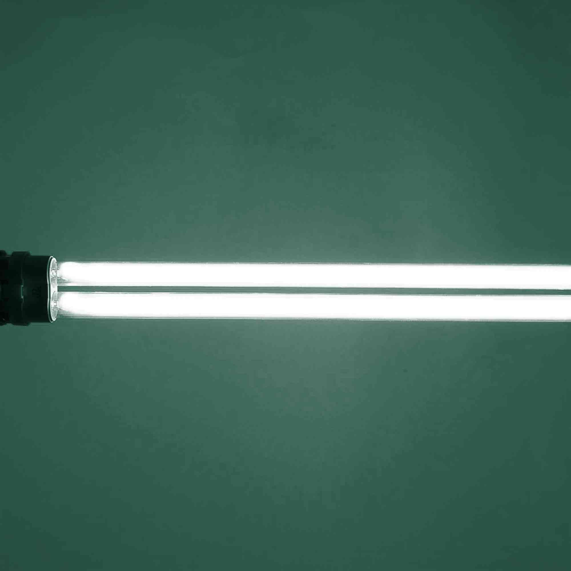 Insect Killer Bulbs – Precept Commercial Corporation