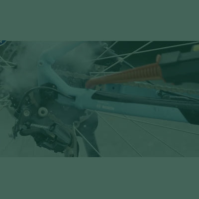 Thermostar Dry Steam System – Precept Commercial Corporation